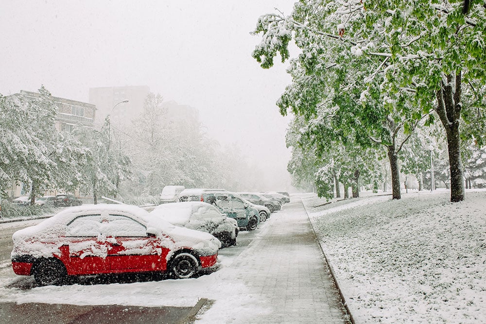 5 simple steps to properly store your car for winter and prevent damage